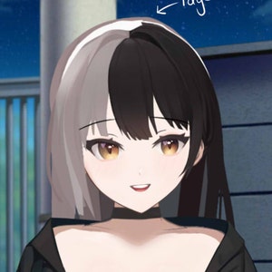 Premade Vtuber Color Customizable, 6 Toggle Switches, 7 Cute Emotes ...