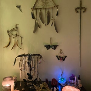 Real Mole Bone Displays. Bone Display. Mounted Mole Bones. | Etsy UK