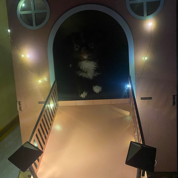 Modern Pink Cat House: Two-story Indoor Cat Castle - Etsy