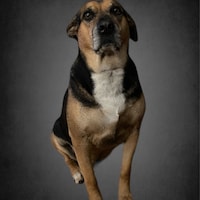 High Contrast Blue Portrait Studio Digital Backdrop, Photography ...