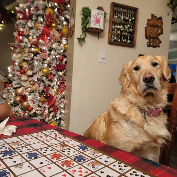 Petanque Bocce Cornhole Scoreboard With Pegs Laser Engraved Wood Extra ...