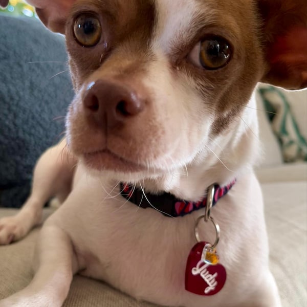 Lucy Heart Personalized Pet Tag | Custom Acrylic Pet ID Tag | Engraved ...