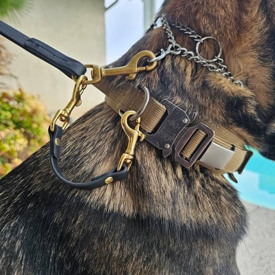 Biothane Tab or Bringsel Pick Your Color 1/2 Wide Heavy Weight, 8 Long ...