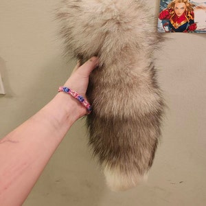 2 Coyote Leg Bone 1 Ulna and 1 Radius BN-701 - Etsy