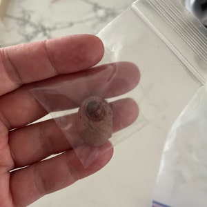 FISHSCALE PERISTERITE Stone, Free Form Cut, Polished Peristerite Stone ...