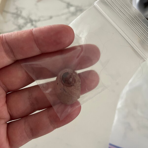 FISHSCALE PERISTERITE Stone, Free Form Cut, Polished Peristerite Stone ...