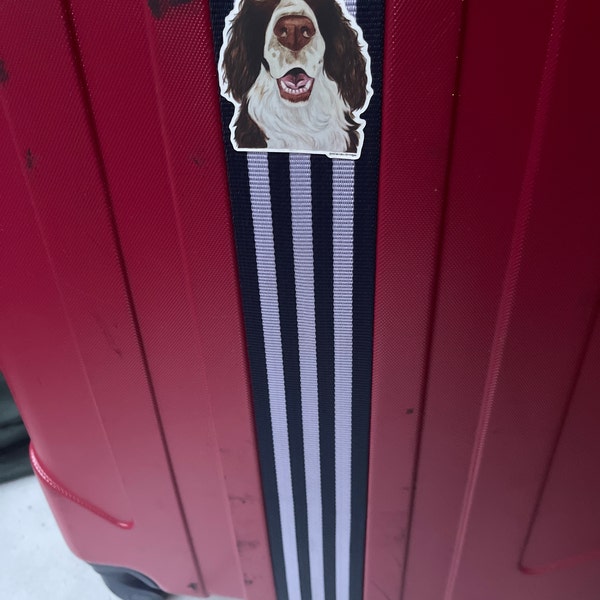 Harbor Seal Sticker - Etsy