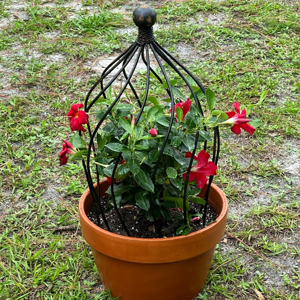 Wrought Iron 27" Beatrice Ball Topiary Trellis, Rustic Garden Plant ...