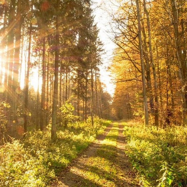 Magick John Dee Enochian Guardian Angel Custom Conjuring. Remote ...