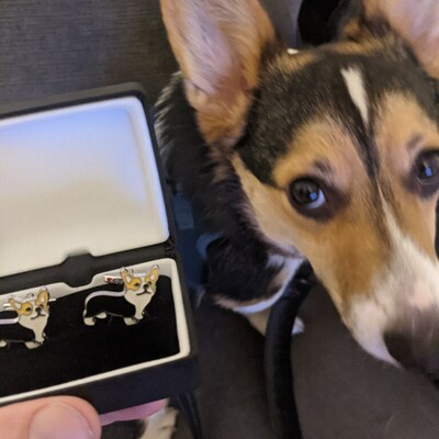 Black and Beige Toned Corgi Dog Cufflinks - Etsy