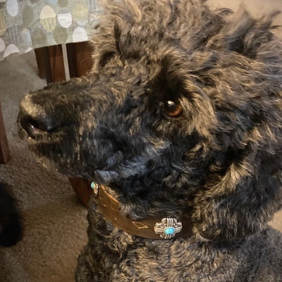 AZTEC Dog Collar, THUNDERBIRD Dog Collar, Hand Tooled Leather, Leather ...