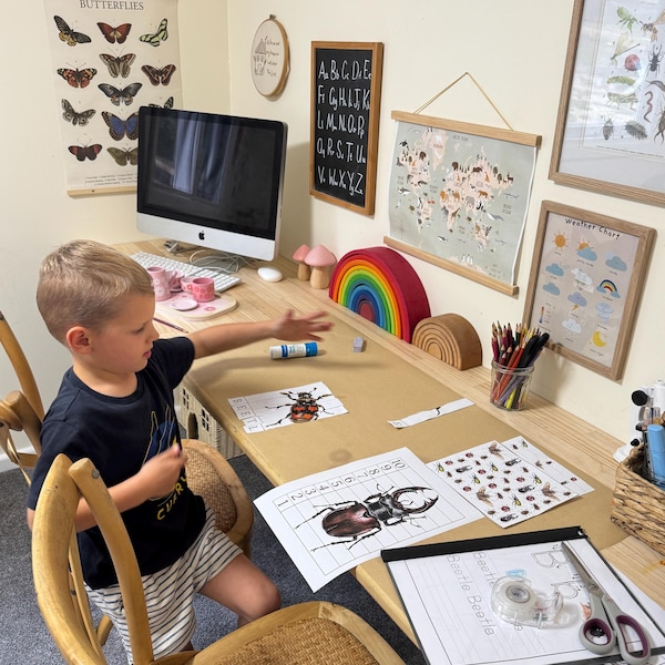 LADYBUG Anatomy, Posters + Labeling and Tracing Activities, Grasshopper ...