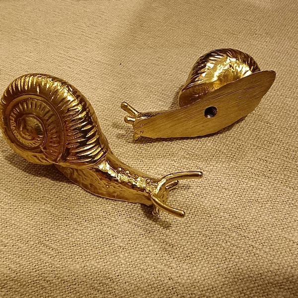 Snails Brass Knobs and Pulls/drawer Knobs/custom Engraved Cabinet Pulls/wardrobe Pulls/offices ...