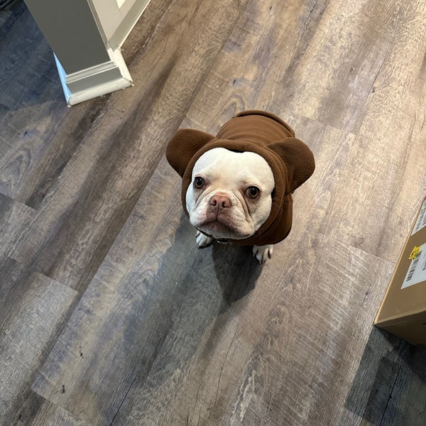 Frenchiestore Organic Dog Frenchie Ear Hoodie | Teddy Bear - Etsy