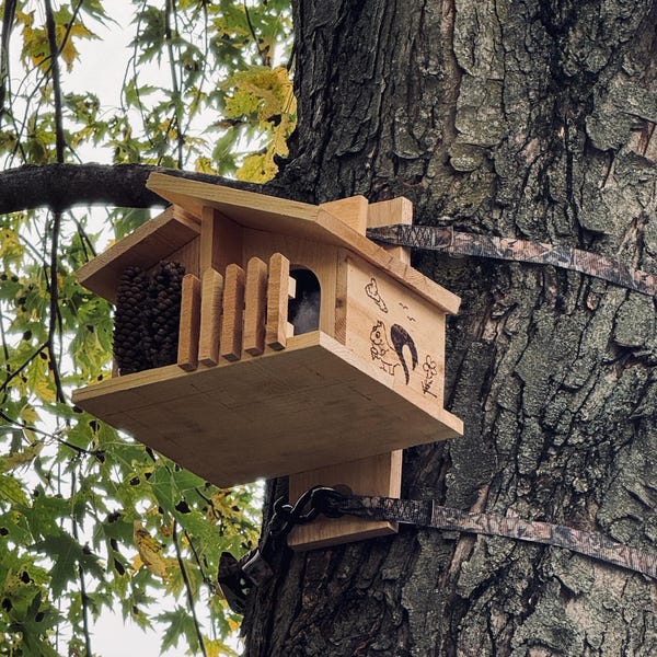 Squirrel House/nesting Box - Etsy