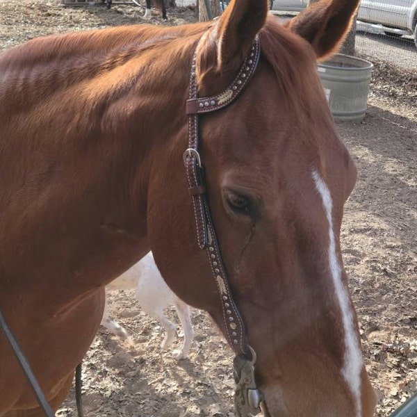 Rawhide One Ear Headstall / Bridle - Etsy