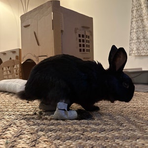 Digital Download Plans for Luxury Bunny Cubby Free Roam Bunnies Cat ...