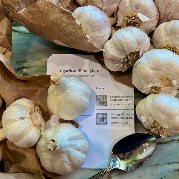 Duganski Culinary Garlic Bulbs - Small Size: 1 5/8" to 1 7/8 ...