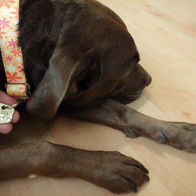 Recycled Key Dog Tag Personalized Pet ID Tag for Your Dog or Cat ...