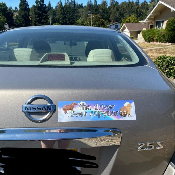 I Hate My Ex Wife Bumper Sticker, Funny Bumper Sticker, Silly Genz Z ...