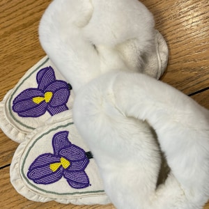 10 to 11 River Cooter Turtle Shell 1077-1011 10UB - Etsy