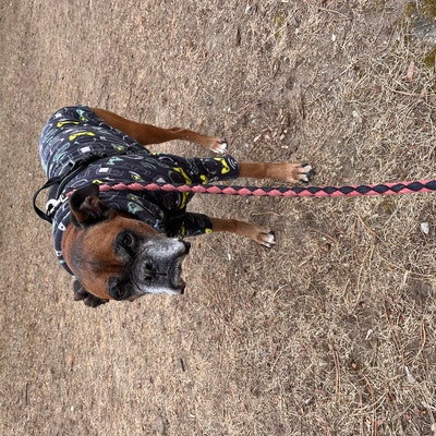 Lightning Bolt Ribbon Freestanding Lace Machine Embroidery Design ...