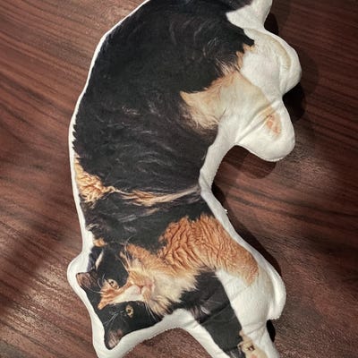 Photo Customization DIY Dog Cushion Pet Plush Toys Dolls Stuffed Animal ...