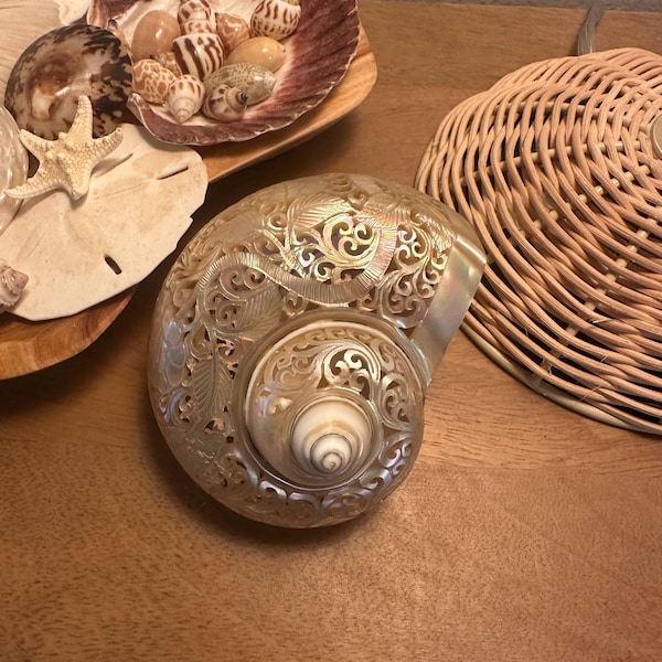 Carved Abalone Shell Hummingbird Theme Paua Abalone Real and Natural ...