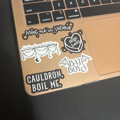 ACOTAR Bookish Sticker Sheet A Court of Thorns and Roses Waterproof ...