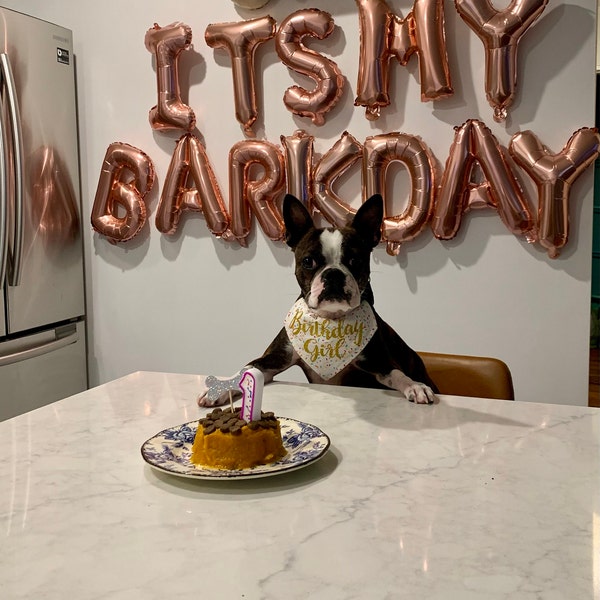 It's My Barkday Balloons Banner | Dog Puppy Birthday Party Decoration ...