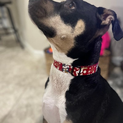 3D Kumo: Japanese Premium Origami Adult Face Mask Black & Gold Cloud ...