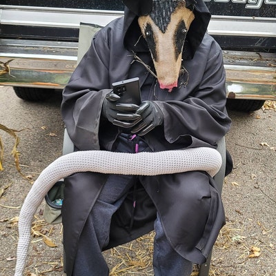 Possum Party Sticker Sheet Durable Waterproof Vinyl With Art From ...