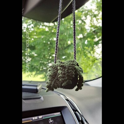 Car Fern Crochet PATTERN by Pamelambie Car Plant - Etsy
