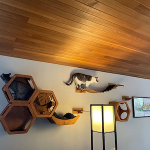Cat Hexagon Shelves, Wood Wall Furniture for Cats, Wall Mount Shelf ...
