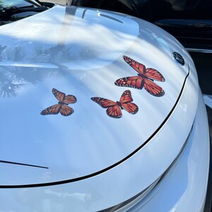 Dragonfly Car Magnets - Etsy