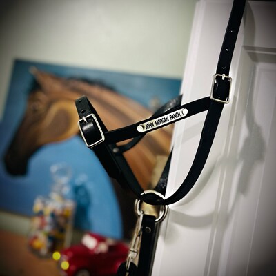 Custom Engraved SILVER Tack Bridle Martingale Plate - Etsy