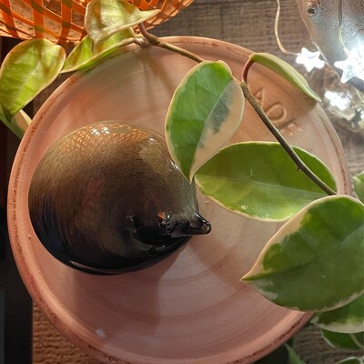 Tortoiseshell Cat Glass Sculpture - Etsy