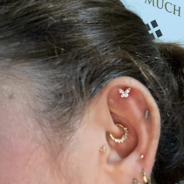 Single Chain Hoop Ring Clicker • Solid G23 Titanium • Conch Septum ...