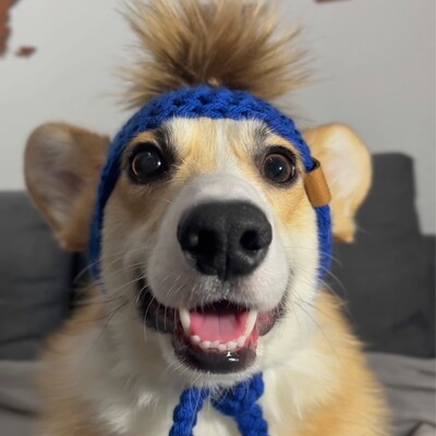 Corgi Beanie Dog Beanie Corgi Hats Dog Hat Dog Beanie - Etsy