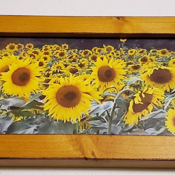 Panoramic Picture Frame in 1x1 Flat Style and Vintage Color of Your ...