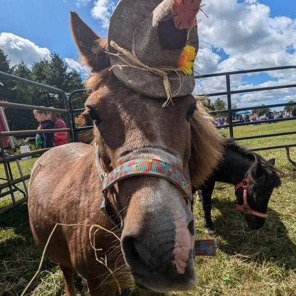 Womens Nun Habbit Hood Disguise Sister Lady Mother Cowl Tunic Scapular ...