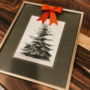 Vintage Fir Botanical Sketch Printable Christmas Tree Pine Tree Antique ...