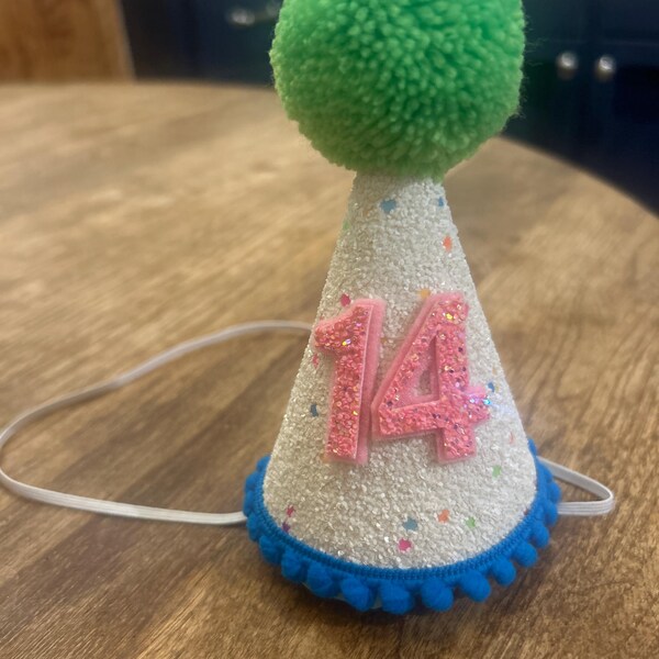 Pet Sombrero, Birthday Hat, Party Hat, Dog Party Hat, Any Number Party ...