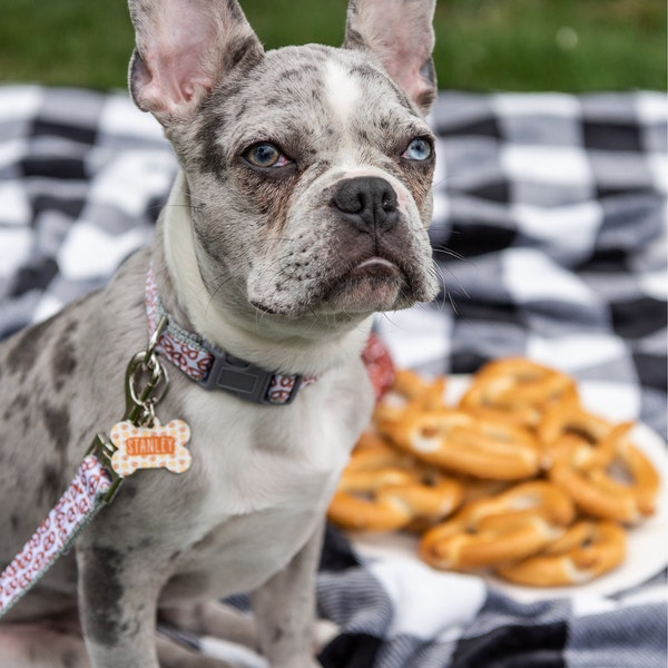 4 Foot Custom Ribbon Leash - Etsy