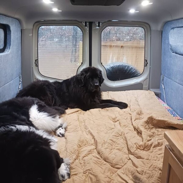 Promaster // High Roof Back Doors Insulated Panels - Etsy