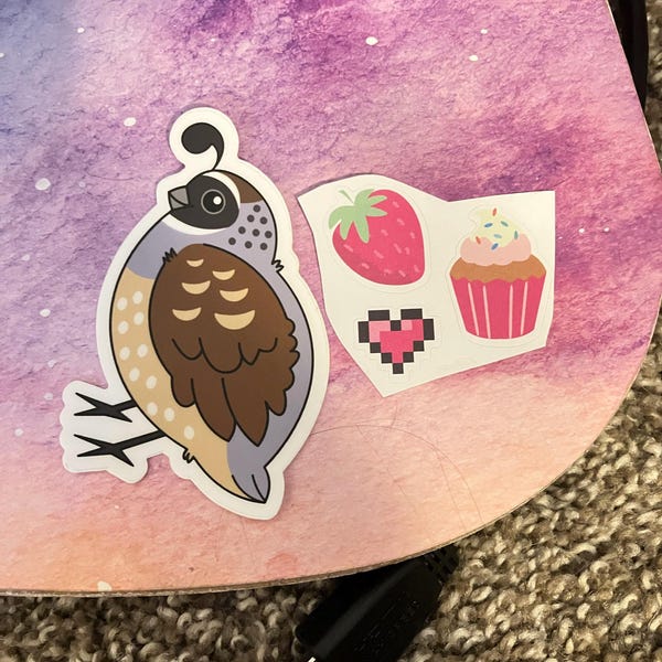 Cute Quail Sticker - Etsy
