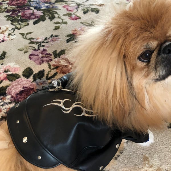 Dog Jumpsuit, Cute Yorkie Girl Outfit, Designer Small Dog Clothes ...