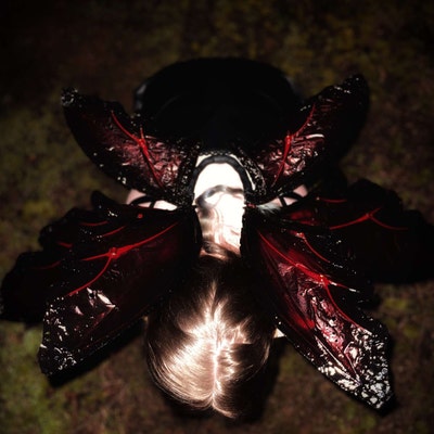 Custom Red and Black 6 Wing Fairy Woodland Wings - Etsy