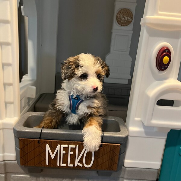 The Cat is Inside or Outside Reminder Sign - Cat In/out Wooden Door ...