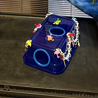 Sugar Glider Small Animal Foraging Pulley Toy-one per Price Alien Toy ...